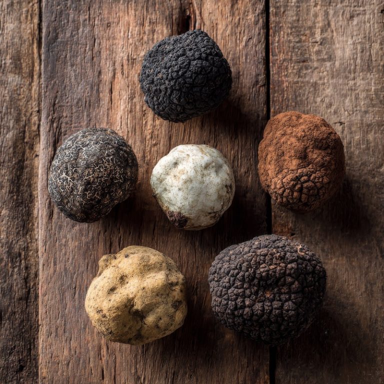 Truffles: What They Are, Why So Expensive, How to Use Them