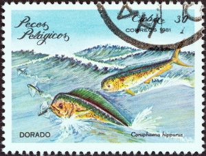 How to Cook Perfect Mahi Mahi: Grilling, Baking, and More