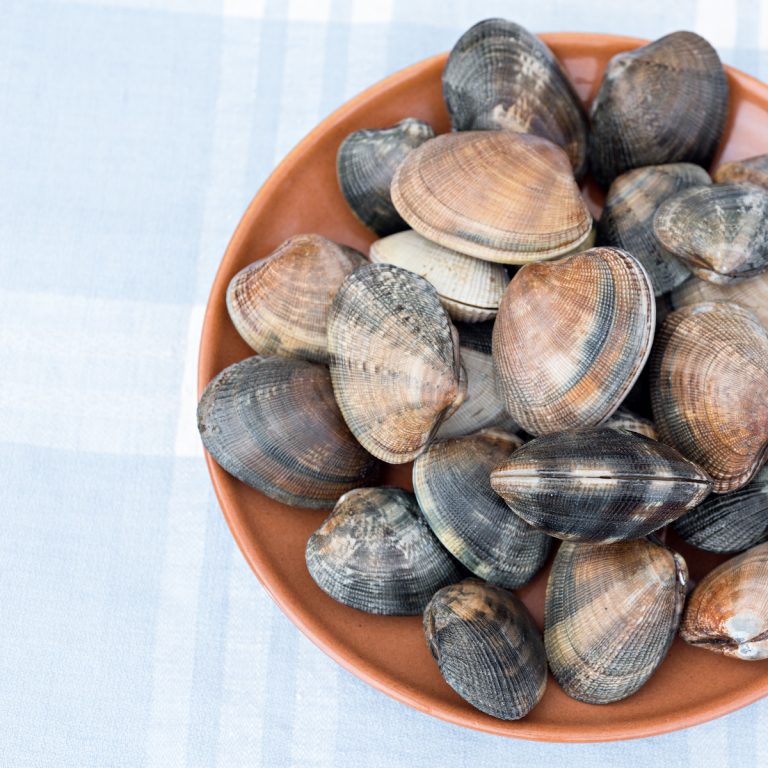 The Delicious World of Clams: Exploring the Flavors and Versatility