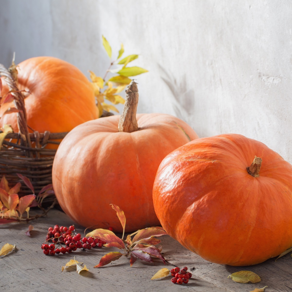 All About Pumpkins and Roasted Pumpkin Seed Recipe