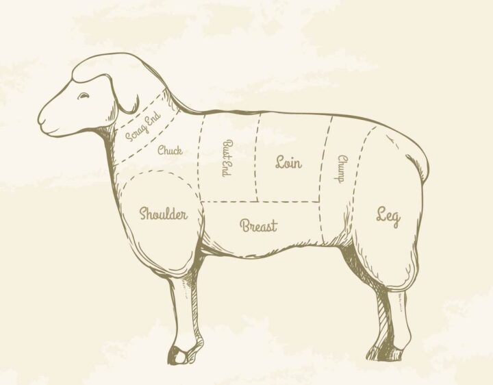 Lamb Cuts Demystified: A Visual and Culinary Guide