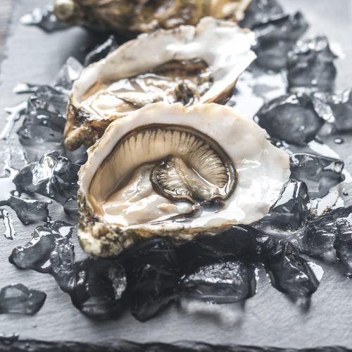 Oysters: A Delicacy with a Rich History and Cultural Significance
